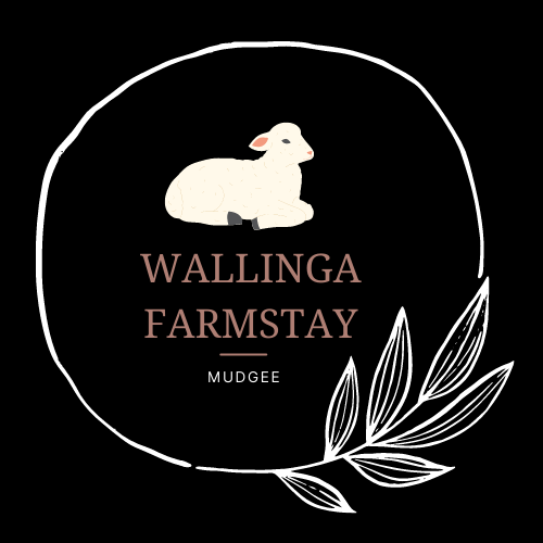 Wallinga Farmstay | Products