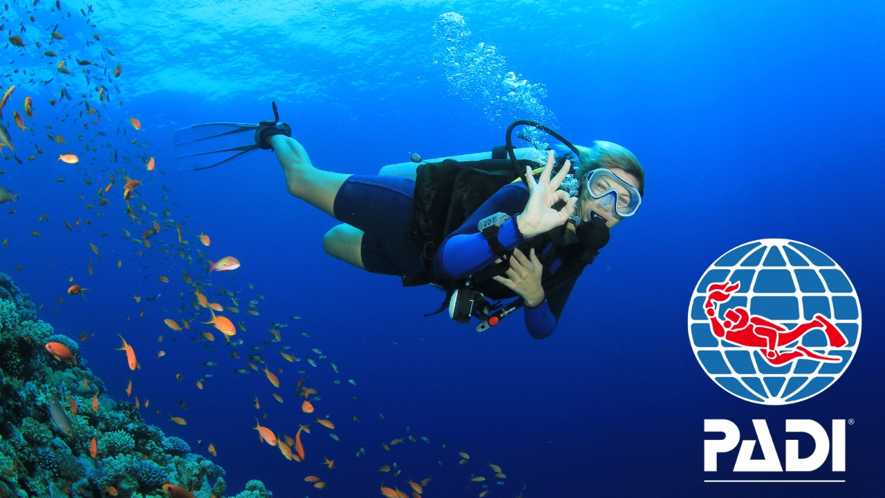 Neptune Diving Resort Moalboal | PADI Bubble Maker