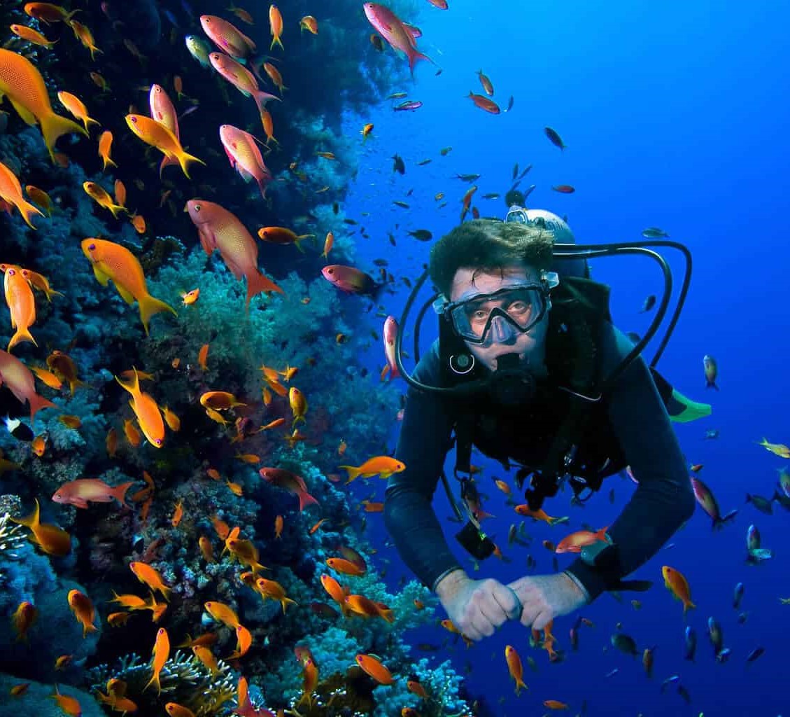 Arca Boutique Hotel | Scuba Diving