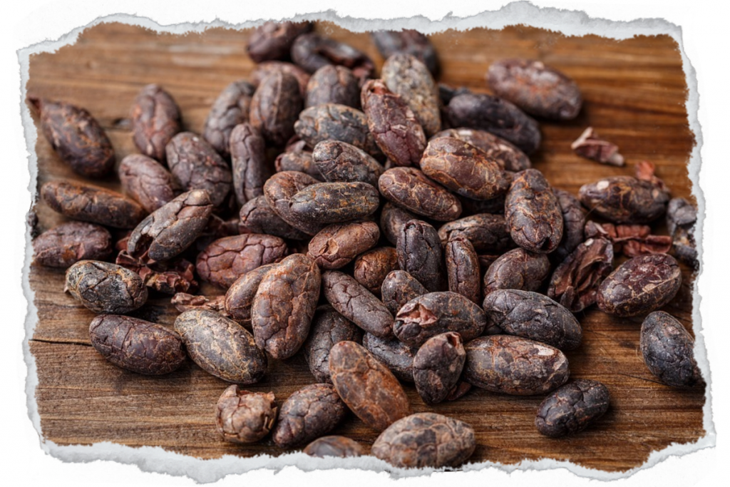 | Mayan Chocolate making/ tasting