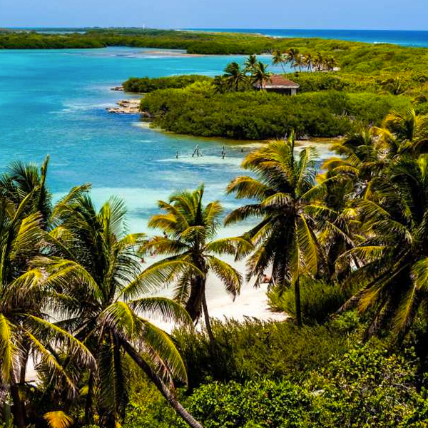 NOMADS EXPERIENCE | Isla Contoy